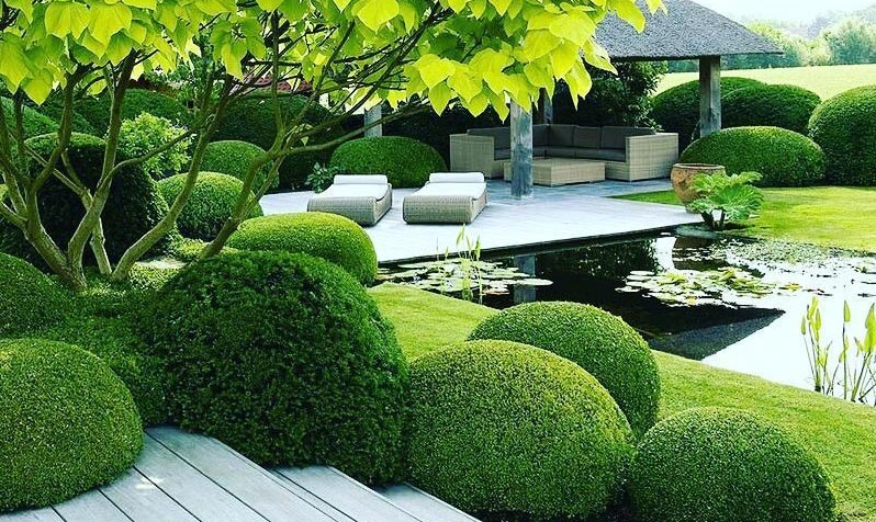 Feng Shui Consultations Equate Aligned Environments